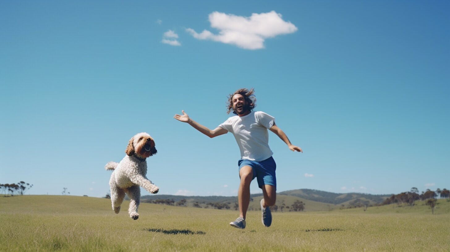 Cockapoo Sport und Aktivitäten: Spaß für euch und eure Fellnasen!